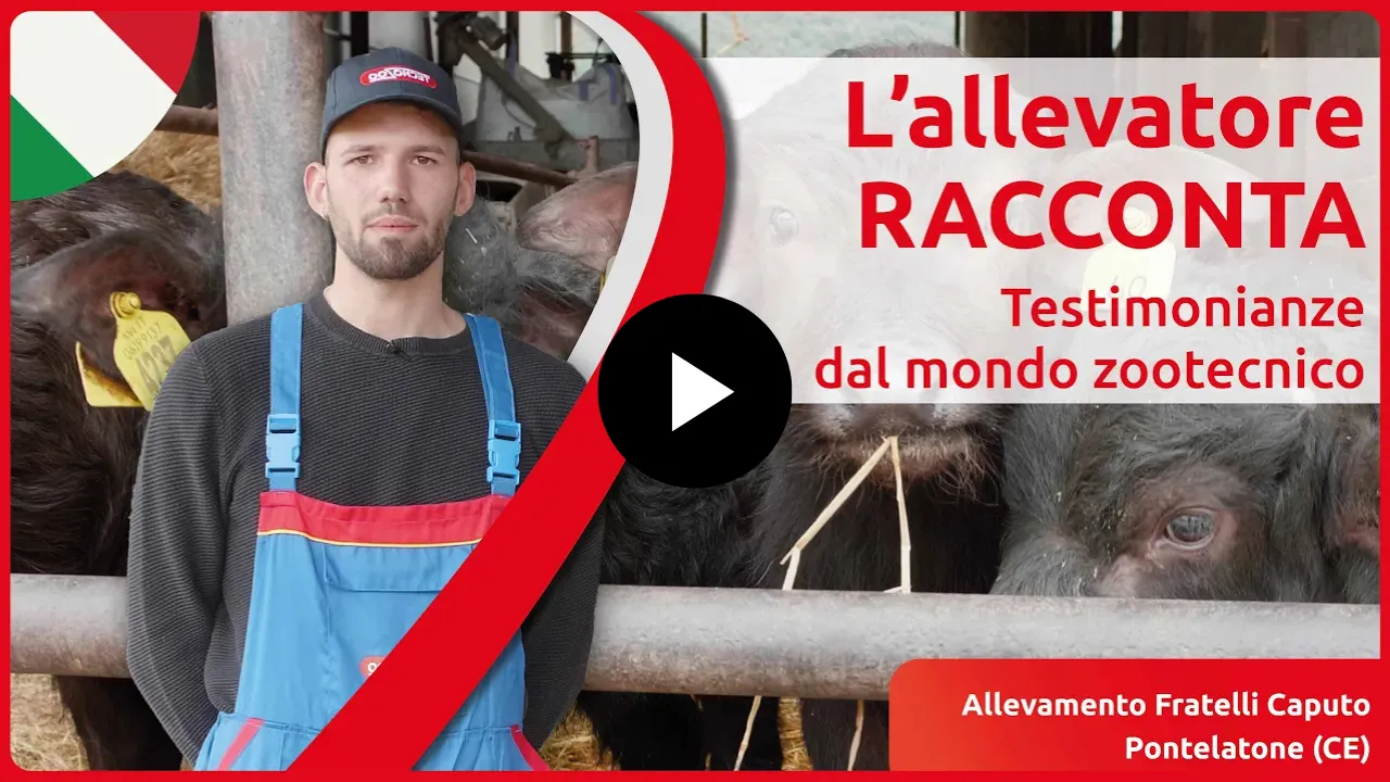 F.lli Gerardo e Francesco Caputo Farm - TecnoZoo